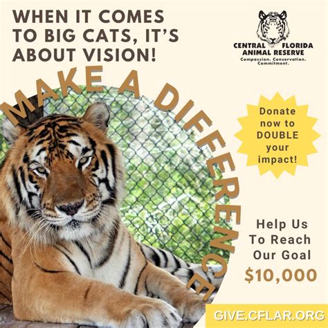 K Simba Wiltz On Linkedin Charger Says Make A Difference Central
