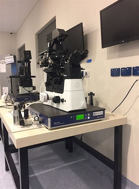 Dvia T Tabletop Active Vibration Isolation Platform Products Daeil Systems