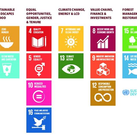 Sdgs Addressed By Cifor Strategy Source Download Scientific Diagram
