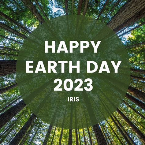 Isabel Isa Cournoyer Posted On Linkedin