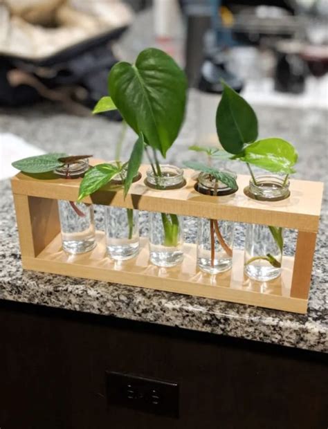 Creative Homemade Propagation Station Ideas For Your Plants
