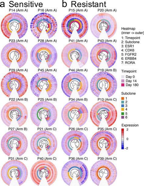 Transcriptional Heterogeneity Of Key Resistant Genes A Sensitive And Download Scientific