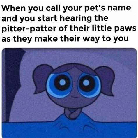 The Pitter Patter Of Little Toe Beans Rcatmemes