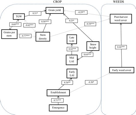 Path Diagram Showing The Hypothesized Direct Effects Of Competitive
