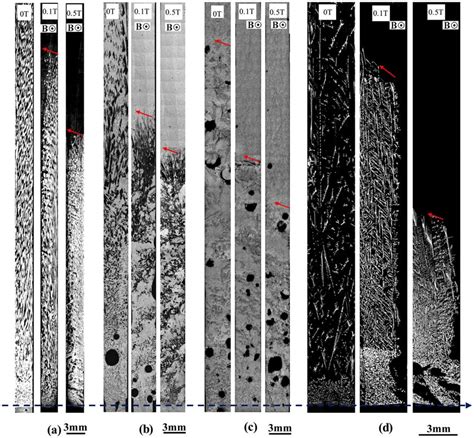 The Effect Of A Transverse Magnetic Field On The Axial Macrosegregation Download Scientific