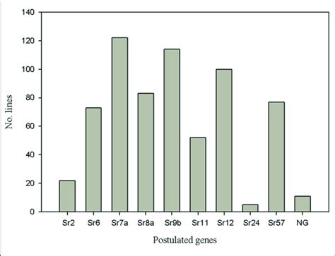 Postulated Stem Rust Resistance Genes In The Tcap Spring Wheat Download Scientific Diagram