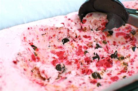 Raspberry Chip Ice Cream For The Love Of Gourmet
