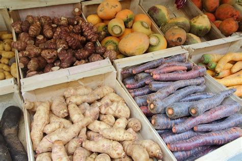 Secrets de jardinage le top des légumes oubliés à cultiver dans son