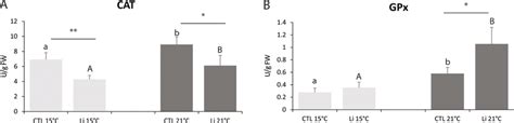 A Catalase Cat And B Glutathione Peroxidase Gpx Activities In