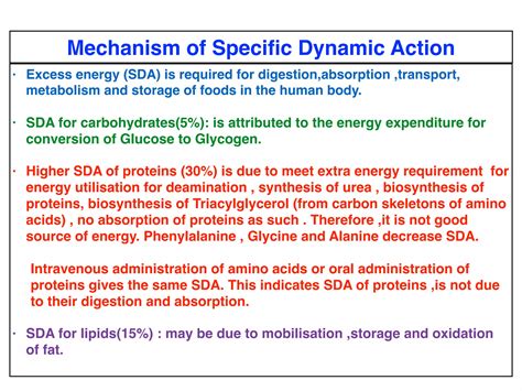 Specific Dynamic Action And Nutrition Pdf