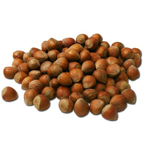 900 Free Hazelnut And Nature Images Pixabay