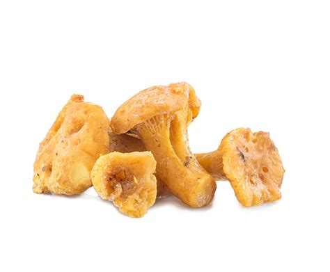 Boletus Rebozuelo C Cibarius