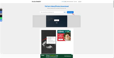 Tiktok 图片下载综合指南 Imaget