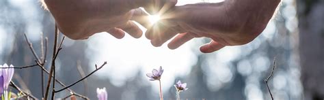 Presentation Client Associates