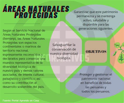 Situaciones Que Afectan A La Biodiversidad Los Informativos