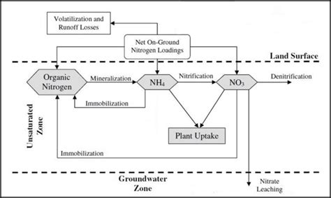 Schematic Describing The Integrated Approach To Predict Nitrate Download Scientific Diagram