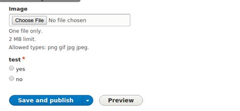 Views Filtering On Boolean Fields Doesnt Use Right Formatter 2469553