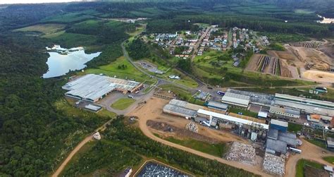 Irani RANI3 compra área florestal no Rio Grande do Sul por R 37