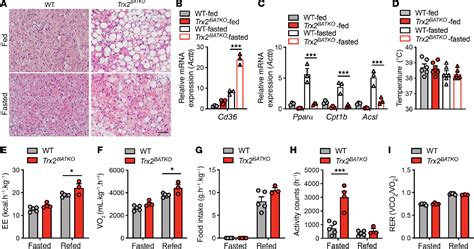 Figure 1 From Brown Adipose Trx2 Deficiency Activates Mtdna Nlrp3 To
