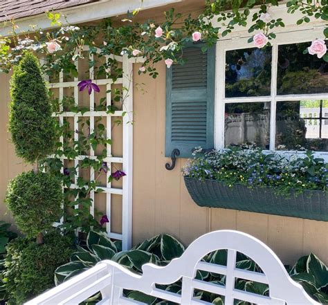 18 Wall Trellis Ideas For A Gorgeous Display Of Flowering Vines Artofit