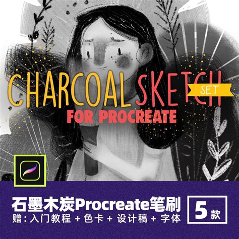 Procreate筆刷 石墨木炭素描厚塗乾畫筆紋理插畫陰影繪畫速寫畫畫 蝦皮購物