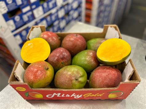 Here For You Éric Lagache