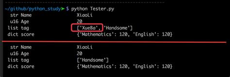 Python元类小李很悲剧