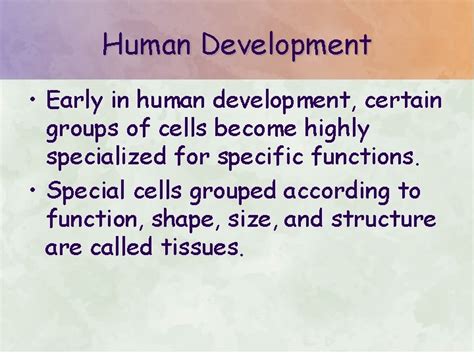 Chapter 1 INTRODUCTION TO THE STRUCTURAL UNITS Anatomy