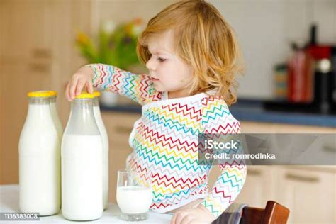 사랑 스러운 유아 여자 아침 식사 암소 우유를 마시는 병이 많은 귀여운 아기 딸 건강 한 아이 칼슘 소스로 우유를가지고 아침에 집 이나 보육원에서 아이 가정 주방에 대한