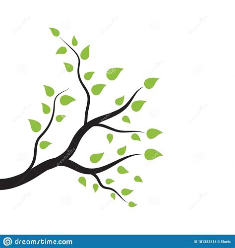 Tree Branch Vector Ilustration Design Stock Vector Illustration Of