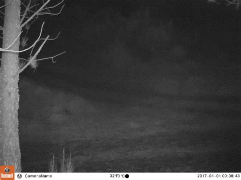Camra Trapping Detection Object Detection Dataset And Pre Trained Model