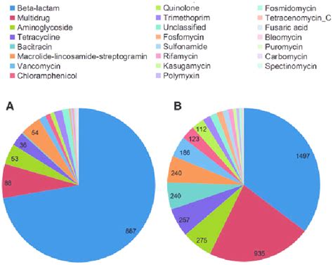 Number Of Subtypes A And Reference Sequences B In The 23 Arg Types Download Scientific