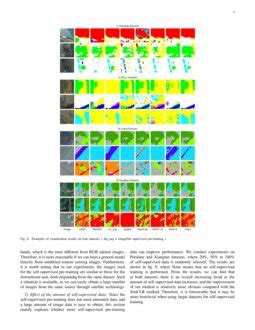 Remote Sensing Images Semantic Segmentation With General Remote Sensing Vision Model Via A Self