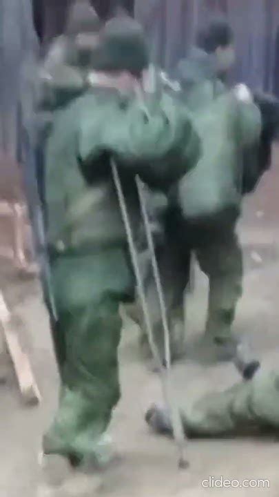 Росіяни худоба раби Youtube