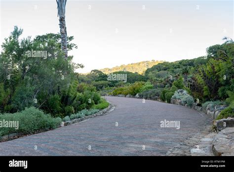A Path With Trees On The Side Of A Road Stock Photo Alamy