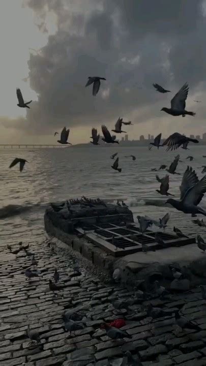 Rohini Patil On Linkedin Goals Dream Achievement Lifelesson