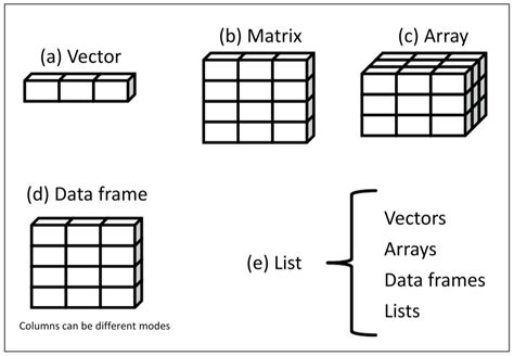 The Basics of R Data Types and Data Structures R Beginners Can ...