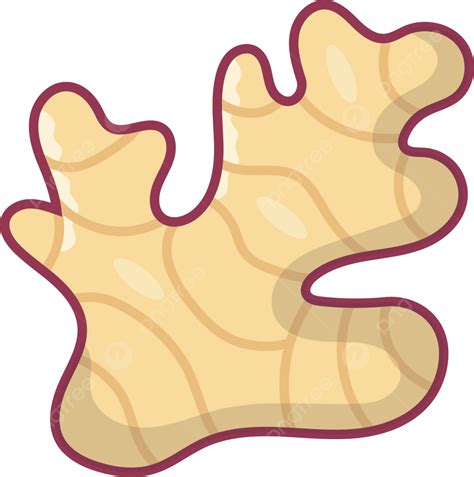 Vegetable Product Root Set Vector Product Root Set Png And Vector