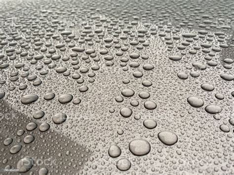 세라믹 코팅 디테일 및 페인트 보호에 따라 자동차 페인트에 물 구슬을 꽂습니다 페인트 보호의 소수성 특성이 보입니다 0명에 대한