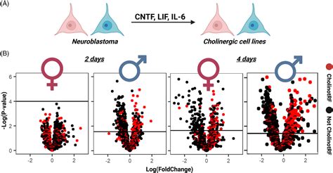 Sex‐specific Declines In Cholinergic‐targeting Trna Fragments In The