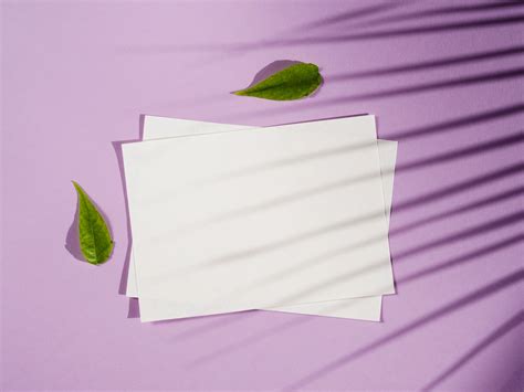 Размеры стандартных форматов бумаги A0 A1 A2 A3 A4 A5 A6 и других Печатный дом