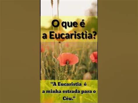 A Eucaristia é fundamental na vida de qualquer pessoa para ir ao céu. #shorts - YouTube