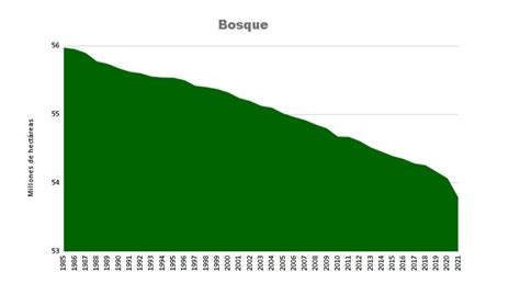 Perú Ha Perdido Más De 3 Millones De Hectáreas De Bosques Y La Mitad De