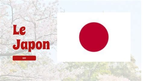 Module Didactique Essentiel Genially