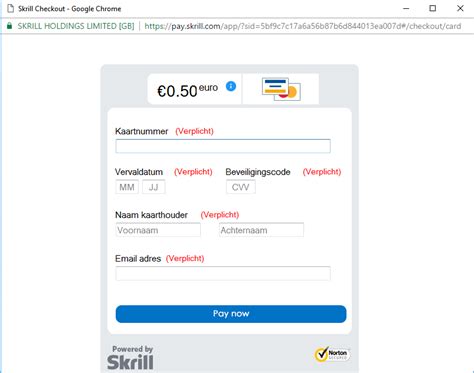 Credit Card Stealer Disguises As Google Chrome Browser