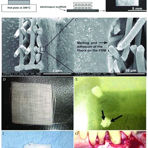 Pdf The Applications Of 3d Printing For Craniofacial Tissue Engineering