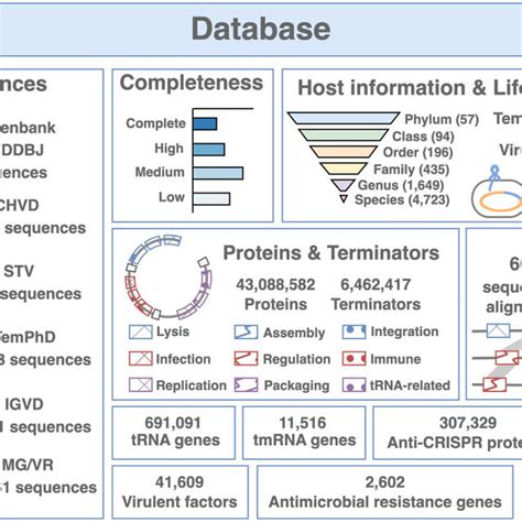 Pdf Phagescope A Well Annotated Bacteriophage Database With