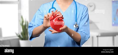 Cardiologist Using Digital Twin Technology In Clinic Stock Photo Alamy
