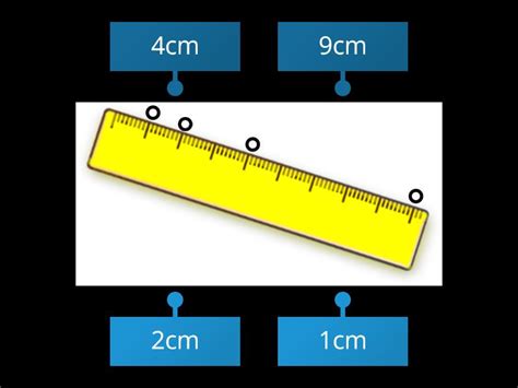 Simple Measurement With Ruler Labelled Diagram