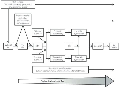 Graphic Representation Of Cascade Of Events That Could Lead From